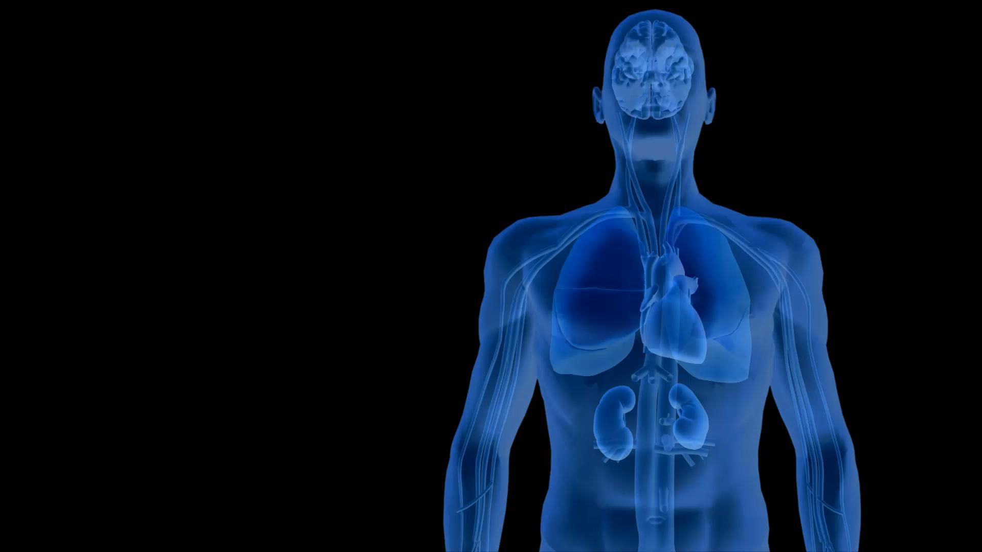 Capsida Biotherapeutics - Engineering novel AAVs and developing the ...